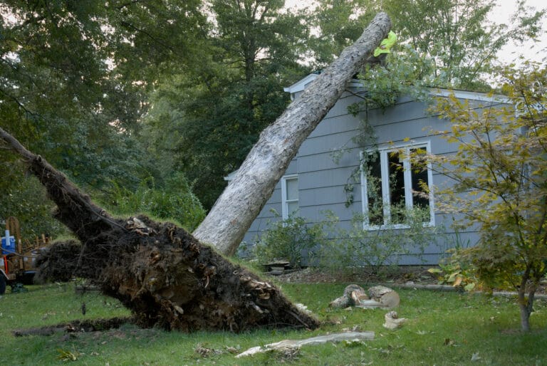 How Extreme Weather Is Impacting the Homeowners Insurance Market in ...